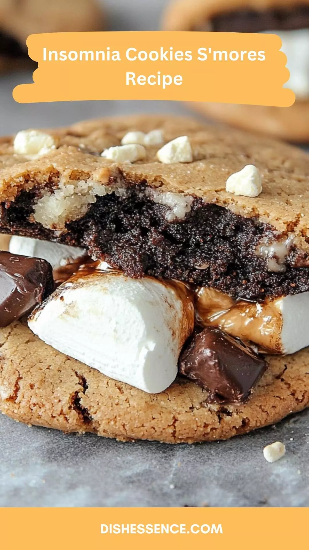 Insomnia Cookies S'mores Recipe – Dish Essence