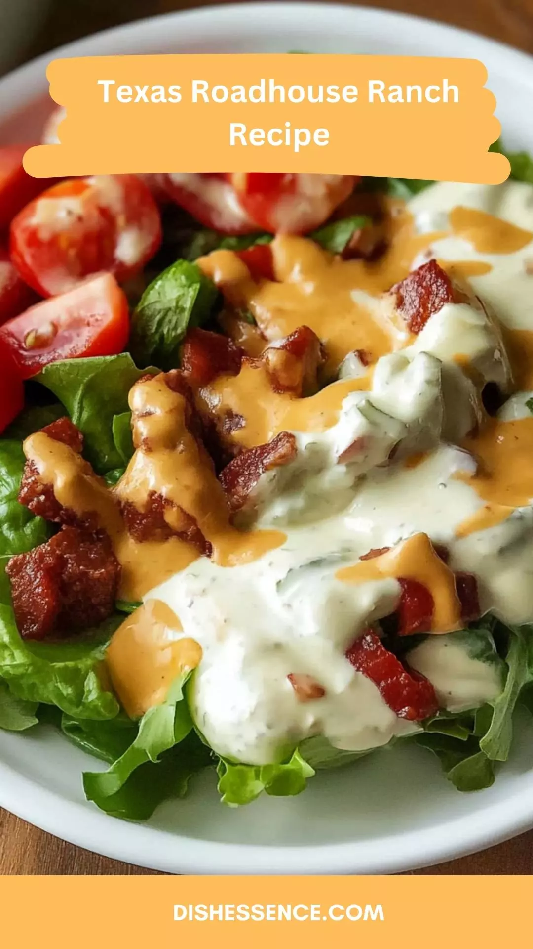 Texas Roadhouse Ranch Recipe – Dish Essence